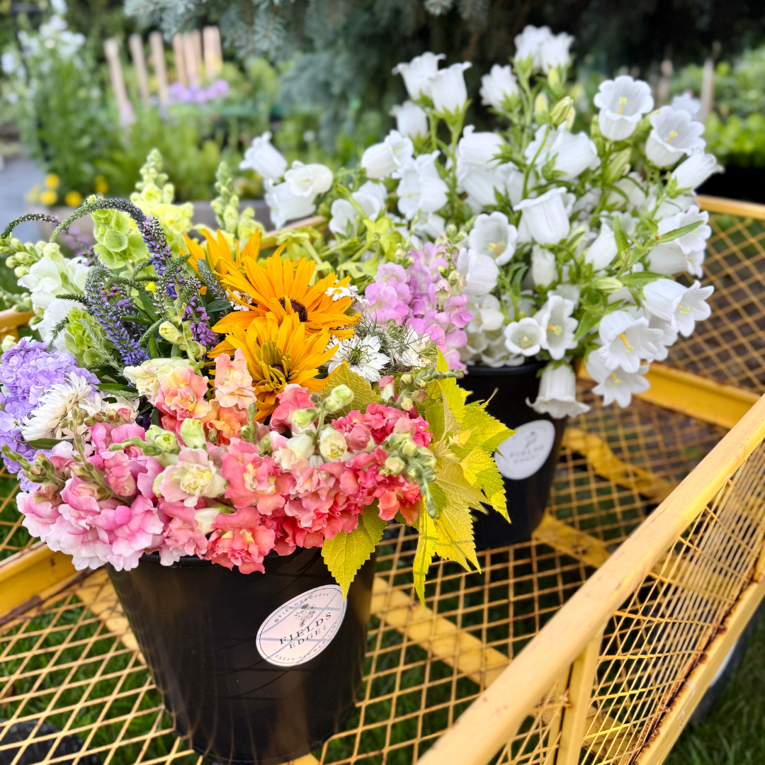 Bucket Of Joy – Fields Edge Sk